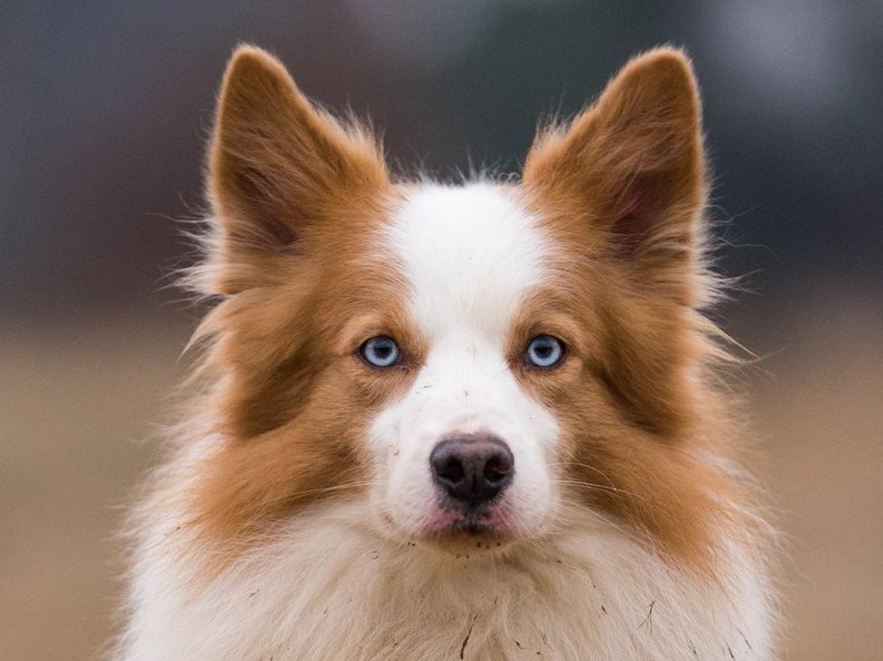 Kenzo - Nice of you to Come Bye Trak and Trace - Nice of you to Come Bye